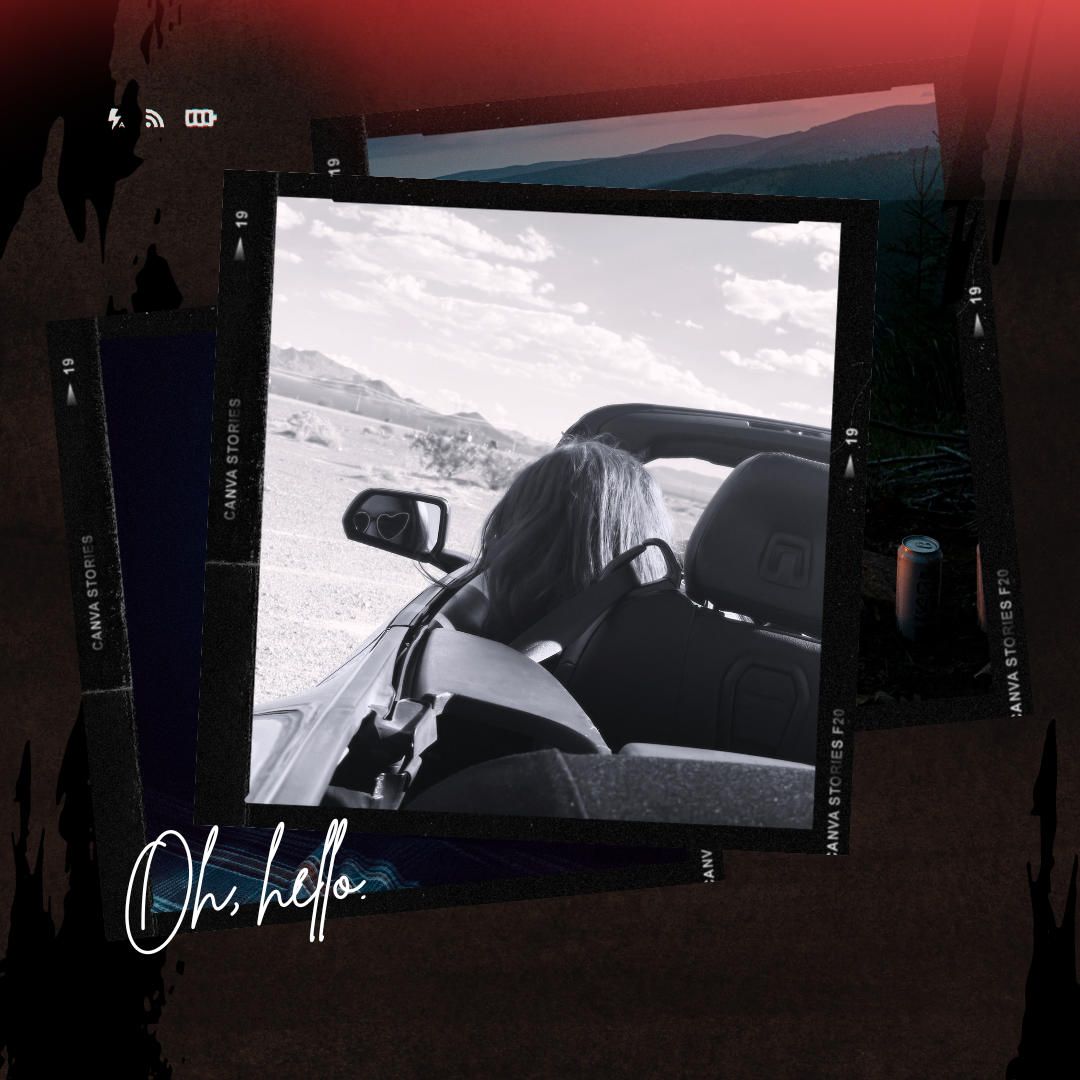 And she’s BACK: | Elle Wagner